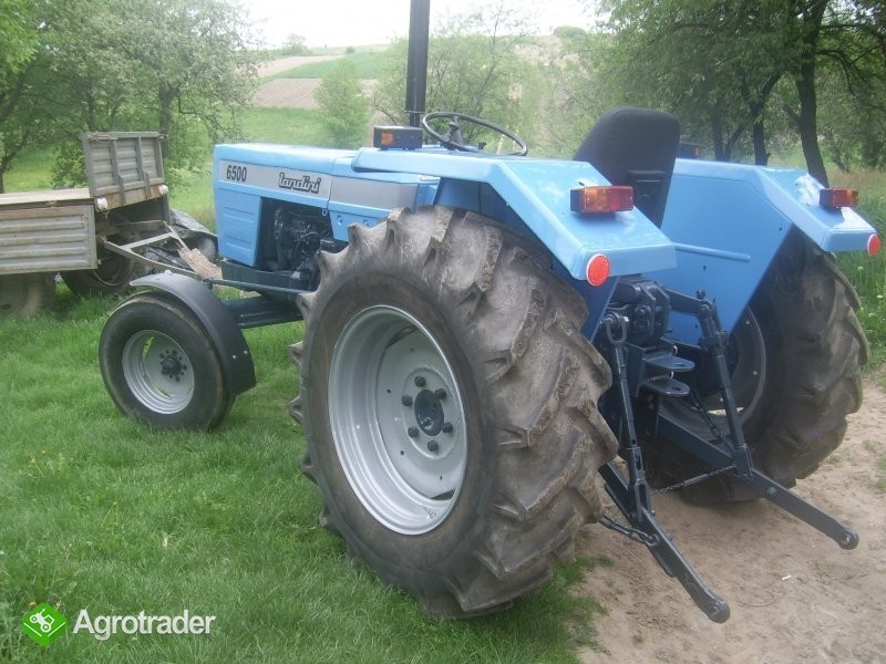 Landini Landini 6500 - 1984 Lubelskie • Agrotrader.pl