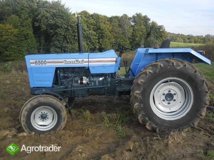 Landini 6500 - 1984 Turobin • Agrotrader.pl